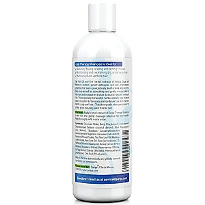 Puriya Tea Tree Shampoo and Conditioner Bundle Set for Itchy, Flaky and Dry Scalp, Sulfate and Paraben Free