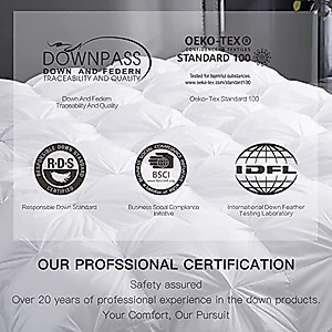 Alanzimo Luxurious 50% White Goose Down Comforter Duvet Inserts Queen Size All Season - Medium Warmth Ultra Soft 750 Fill Power White Bedding Comforter with 8 Tabs - 90x90 Pinch Pleat Design