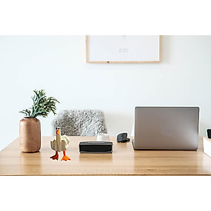 Middle Finger Duck You Figurine Statue - Funny Little Duck Resin Decor - Home Desk Office Garden Duckling Statue Deocration - Funny Joke Prank Gag Quirky Gift for Guys Adults Men