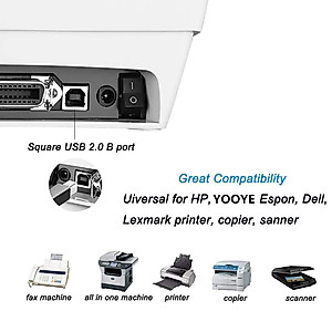 RiteAV 6 inch USB 2.0 A Male to B Male Cable - Black