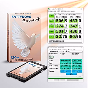 FATTYDOVE 2.5 inch SSD 120GB Internal Solid State Drive SATA3 SSD Drive 2.5 inch 6Gb/s for PC/Laptop with SATA III Cable (120GB SSD Drive)