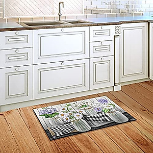 Briarwood Lane Checkered Mason Jars Spring Doormat Daisies Floral Indoor Outdoor 30" x 18"