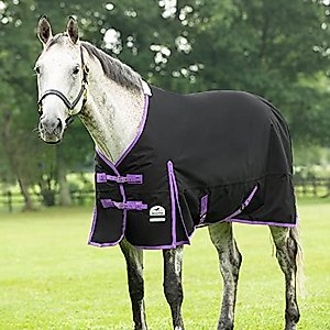 SmartPak Classic 600D Turnout Horse Blanket-78-Medium (220g)-Black/Purple
