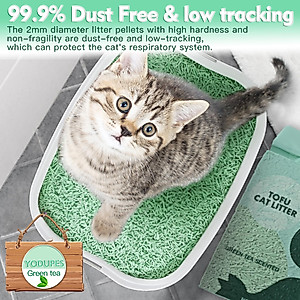 YODUPES Cat Litter, Lightweight Natural Tofu Clumping Cat Litter Odor Control 99.9% DustFree, Flushable Low Tracking, 10.6 LB Total, Pack of 2