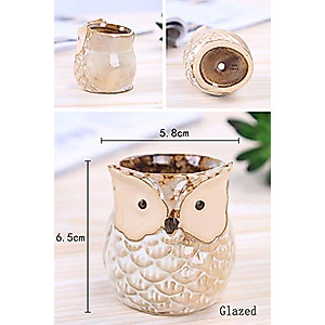 ROSE CREATE 6 Pcs 2.5 Inches Owl Pots, Little Ceramic Succulent Bonsai Pots with a Hole - Pack of 6