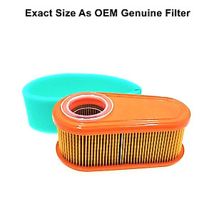 MOWFILL 2 Pack 795066 Air Filter Replace for BS 5419,796254 OEM Air Cleaner Cartridge with 796254 Pre Filter Fits Lawn Mower Air Cleaner Element