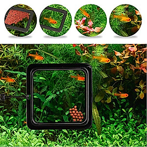 ZRDR Fish Feeding Ring, 2 Pack Black Aquarium Floating Food Feeder Circle Small Round and Square with Flexible Lever Suitable and Suction Cup, Reduces Fish Feeder Waste and Maintains Water Quality