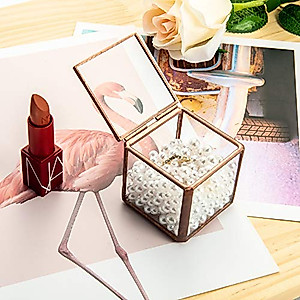 Feyarl Tiny Clear Glass Jewelry Trinket Box Ornate Rings Earrings Shadow Organizer Treasure Chest Decorative Keepsake Case with Lid for Wedding Birthday Gift (Brass)