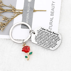 WSNANG Apology Keychain Gift Sorry Jewelry I Am Truly Sorry Gift Idea for Apologizing Forgive Me Gifts (I Am Truly Sorry DT)