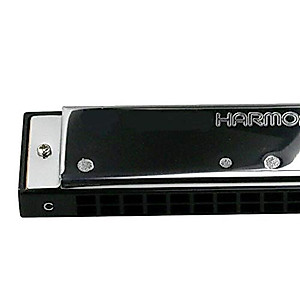 WAAZVXS Harmonica 24 Holes Key C Musical Instruments for Beginner (Color : Key C)