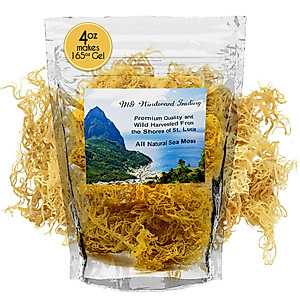 Certified Wild Harvested Gold Irish raw Sea Moss from St.Lucia,Makes 165 oz gel, Dr.Sebi Grade,Wild Harvested Powerful Antioxidants,Vitamins,Minerals and Nutrients All Natural,4 Ounce (Pack of 1)