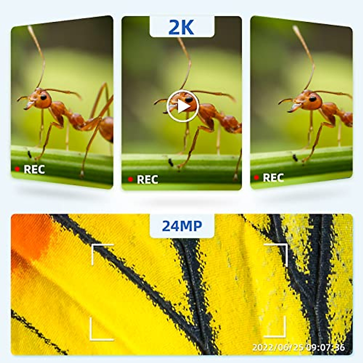 TOMLOV DM401 Pro 2K Digital Microscope 1200x, Extension Tube ET02, 7 inch HDMI LCD Microscope, Buttom LED Light Stage Included,24MP Coin Microscope with Screen,PC/TV Compatible，32GB