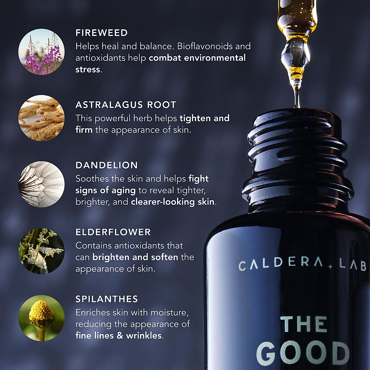 Caldera + Lab The Regimen, Vegan Skin Care Bundle: Gentle Foaming Cleanser, Ultra-Hydrating Moisturizer & Multi-Functional Facial Serum – MADE SAFE Certified