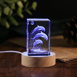 YouerCrystal 3D Crystal Dolphin Figurine Night Light with LED Light Base, Birthday Gift for Kids Women Unique, Thanksgiving Christmas Valentines Anniversary Birthday Gifts for lovers (3D-Dolphin)