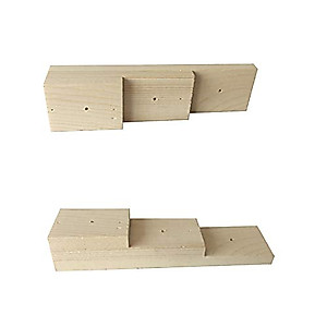 Stainless Steel Specimen Insect Pins 0#,1#,2# and Insect Pinning Board