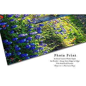 Country Photography Print (Not Framed) Vertical Picture of Fence Post Surrounded by Bluebonnets on Spring Day in Texas Wildflower Wall Art Farmhouse Decor (5" x 7")