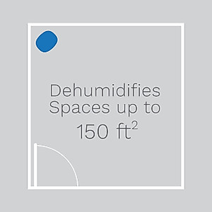 hOmeLabs Small Space Dehumidifier with Auto Shut Off - Compact and Portable