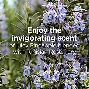 Botanica by Air Wick Plug in Scented Oil Starter Kit, 2 Warmers + 6 Refills, Fresh Pineapple and Tunisian Rosemary, Air Freshener, Eco Friendly, Essential Oils