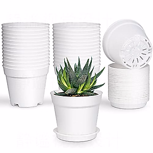 SwinDuck 4 inch Small Plant Pots, 28 Pack Plastic Planters with Drainage Holes and Saucers for Flowers Plants, Succulents, Seed Starting Pots, White
