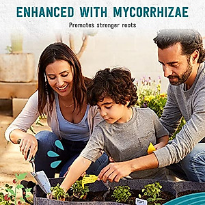 Back to the Roots All-Purpose Plant Food - Organic, Sustainably-Made for Indoor Plants with Kelp and Alfalfa Meal, Mycorrhizae, and Rock Phosphate Minerals - 1.5 lb Premium Blend