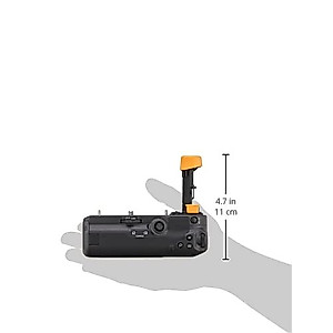 Canon BG-R10 (4365C001)