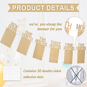 Whaline 1st Birthday Baby Photo Banner for Newborn to 12 Months, Monthly Milestone Photograph Bunting Garland, First Birthday Celebration Decoration (Champagne Gold)