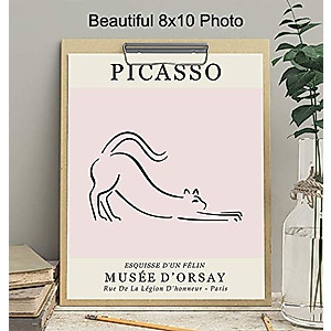 Cat Home Decor - Pablo Picasso Wall Art - Picasso Poster - Cat Wall Art - Pablo Picasso Poster - Pablo Picasso Prints - Pablo Picasso Art - Cat Wall Decor - Cute Cat Lover Gifts for Women - Pink