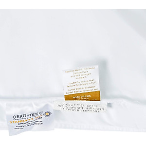 Superior Mattress Topper, Down Alternative, 2 Inch Deep Sized Bed Pillow Top, Comfort Pad, Fluffy Mattress-Topper Protector, Plush Cooling Extra Soft, Hotel Quality, Sleep, All-Season, Queen, White