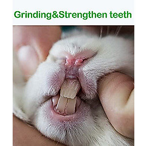 OSWINMART Sweet Bamboo Sticks(1/2lb), Pet Chew Snacks Molar Sticks Keep Clean Teeth and Healthy Gums for Rabbits Hamsters Chinchillas Guinea Pigs Bunny Squirrels