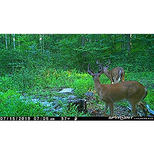 SPYPOINT Link-Micro-S-LTE Solar Cellular Trail Camera with LIT-10 Battery and 32 GB Micro SD Card (Link-Micro-S-LTE-V)