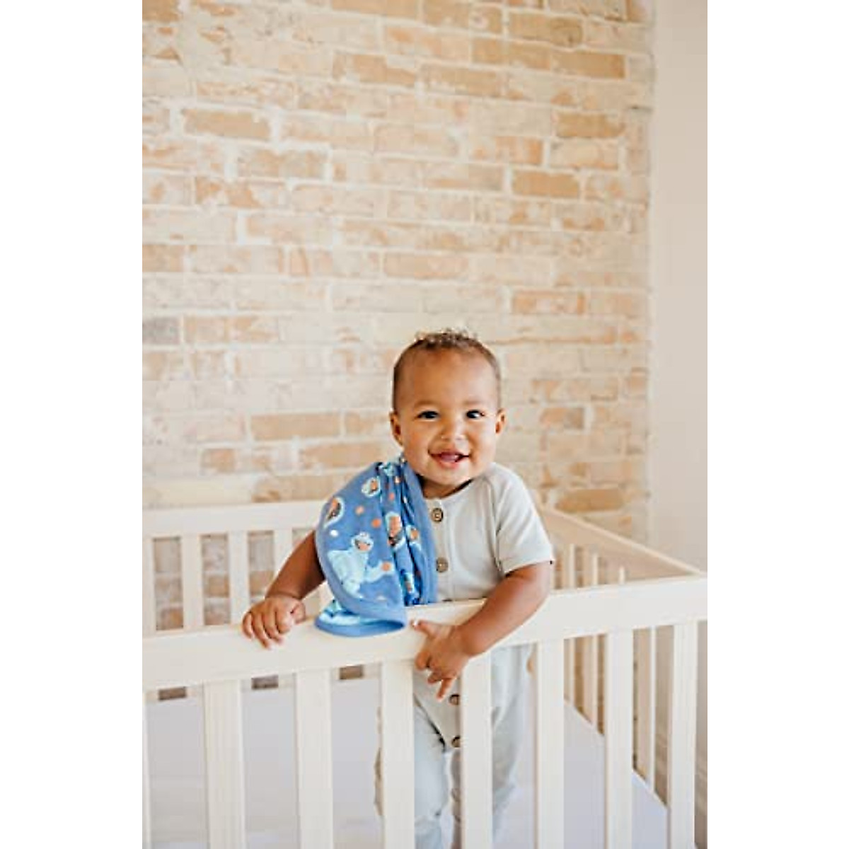 Copper Pearl Baby Security Blanket Set of 2 - Portable Size for Self-Soothing On-The-Go, Ideal Baby Blankets for Boys and Girls, Ultra-Soft, and Gift-Ready Loveys - Cookie Monster