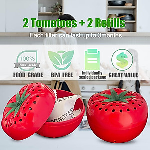 ShuRex Produce Freshness Preserver Saver Kit- Keep Fruits and Vegetables Fresh Longer, Ethylene Gas and Odor Absorber in Refrigerator (2 Pack)