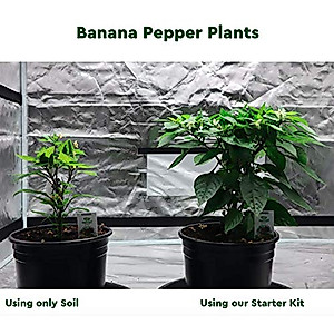 Humboldts Secret Starter Kit Pack – World's Best Indoor & Outdoor Plant Fertilizer and Nutrient System: Base A & B – Golden Tree – Flower Stacker – Plant Enzymes – CalMag & Iron