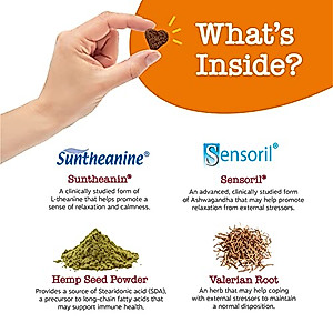 Zesty Paws Calming Chews for Dogs - Composure & Relaxation for Everyday Stress & Separation - with Ashwagandha, Organic Chamomile, L-Theanine & L-Tryptophan – Bison - 90 Count