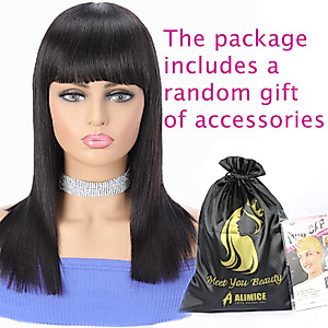 A ALIMICE Black Silky Straight Human Hair Wig with Bangs, 16 Inch, 150% Density, Glueless, 22.5 Inch Cap Size