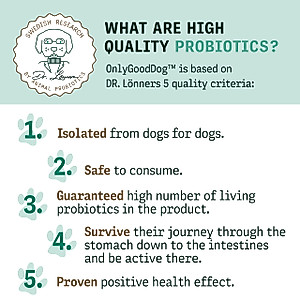 Only Good Dog Daily Probiotics for Dogs, Dog Probiotic Powder with Digestive Enzymes for Digestive Health, Gut Flora, Diarrhea, Fur & Skin Health, Immune Support - Flavorless (25 Sticks)