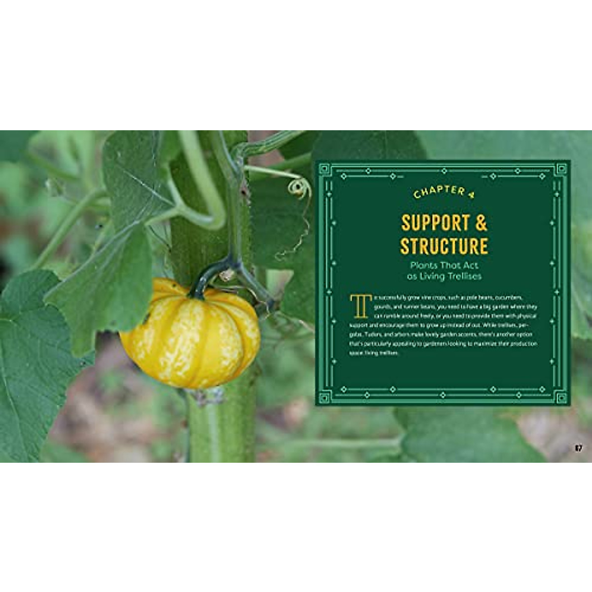 Plant Partners: Science-Based Companion Planting Strategies for the Vegetable Garden
