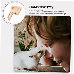 1 Set Hamster Stand Decorative Hamster Toy Wooden Chinchilla for Pet Household Chinchilla Toy Household Rat Plaything Delicate Hamster Platform Interesting Rat Plaything
