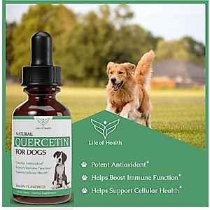 Life of Health Quercetin for Dogs - Quercetin for Dogs Allergies - Dog Allergy Support - Dog Allergy - Quercetin - Quercetin Dog - Dog Allergies - Quercetin Supplements - Dog Allergy Relief - 1 fl oz