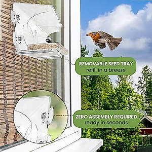 Large Clear Window Bird Feeder - Extended House with Strong Suction Cups - Steel Perch Sliding Feed Seed Tray - See Through Transparent Big Birdhouse - Wild Finch, Cardinal, Blue Jay - Cool Cat Gift