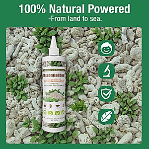 EcoVenger DEssential Dust, Kills Bed Bug, Roaches, Ants, Fleas, Crawling Insect Repellent, Food Grade Diatomaceous Earth Micro-Powder Triple Powered Peppermint/Lemongrass/Eucalyptus