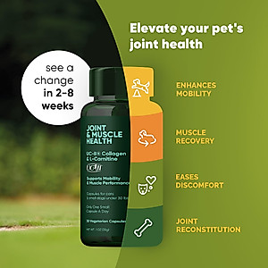 Rooted Owl Natural Supplements Joint & Muscle Health Capsules - Hip and Joint Supplements for Cats and Small Dogs with UC-II Type II Collagen and L-Carnitine - 30/ct