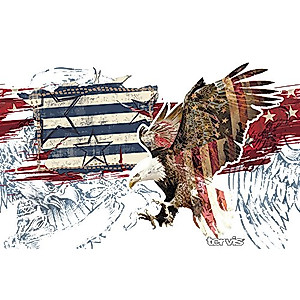 Tervis Americana Distressed Flag Triple Walled Insulated Tumbler Travel Cup Keeps Drinks Cold & Hot, 20oz Legacy, Stainless Steel