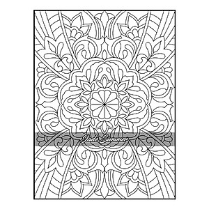 100 Amazing Patterns: An Adult Coloring Book with Fun, Easy, and Relaxing Coloring Pages