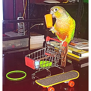 ActionEliters Bird Toys for Parakeets, 6pcs Parrot Toys Set with Bird Basketball Toy, Bird Skateboard, Bird Trolley, Bird Ring Bucket Toys, Parakeet Toys for Bird Training Toys