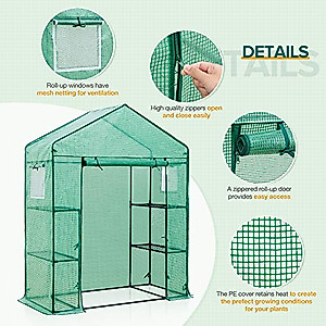 EAGLE PEAK 61'' x 28'' x 79'' Walk-in Greenhouse, 2 Tier 4 Shelves Portable Plant Gardening Greenhouse, Front Roll-Up Zipper Entry Door and 2 Roll-Up Side Windows, Green