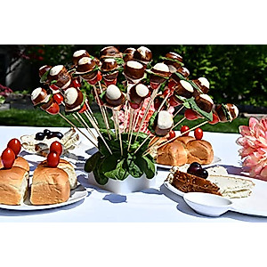 Sway-Oh, Skewer Food Server, The Stylish Square Set Includes 100 All Natural Bamboo Skewers