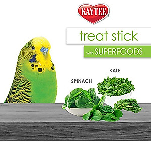 Kaytee Avian Superfood Treat Stick Spinach & Kale 5.5oz