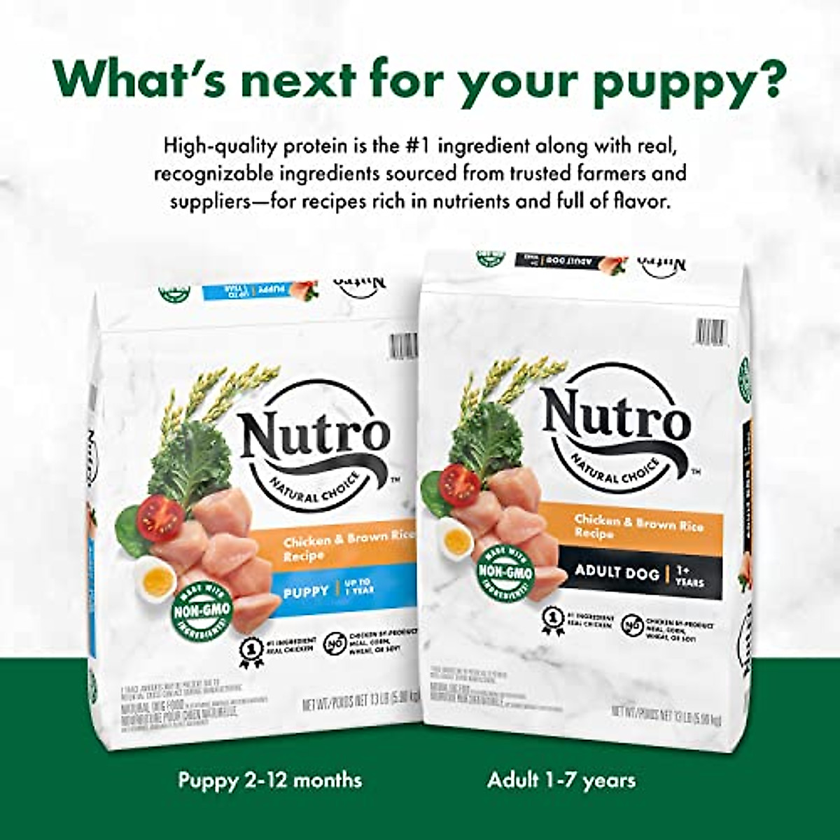 NUTRO NATURAL CHOICE Puppy Dry Dog Food, Chicken & Brown Rice Recipe Dog Kibble, 13 lb. Bag