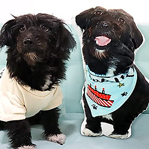 OARSE Custom Pet Pillows Personalized with Photo Pillow Shaped Looks Like Your Dog Cat Picture Customized Pets Gifts for Owners - Single Sided Print 12 Inch